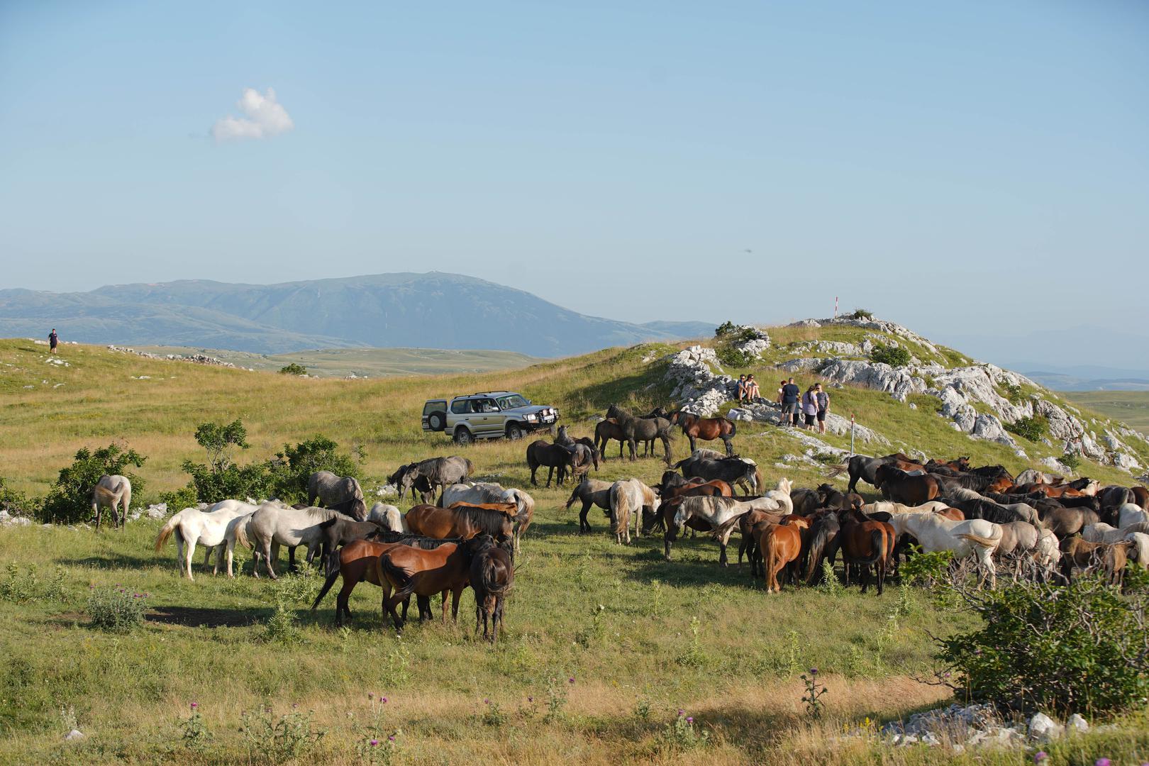 Čarobni svijet rijeke Sturbe u livanjskom kraju u kojemu, uz bogat ...