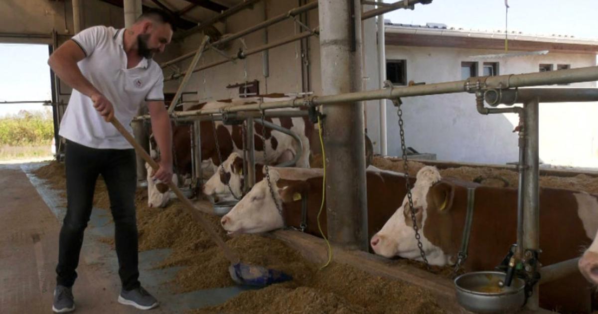 Iz Austrije se vratio u Posavinu i otvorio farmu krava, vidi velike ...
