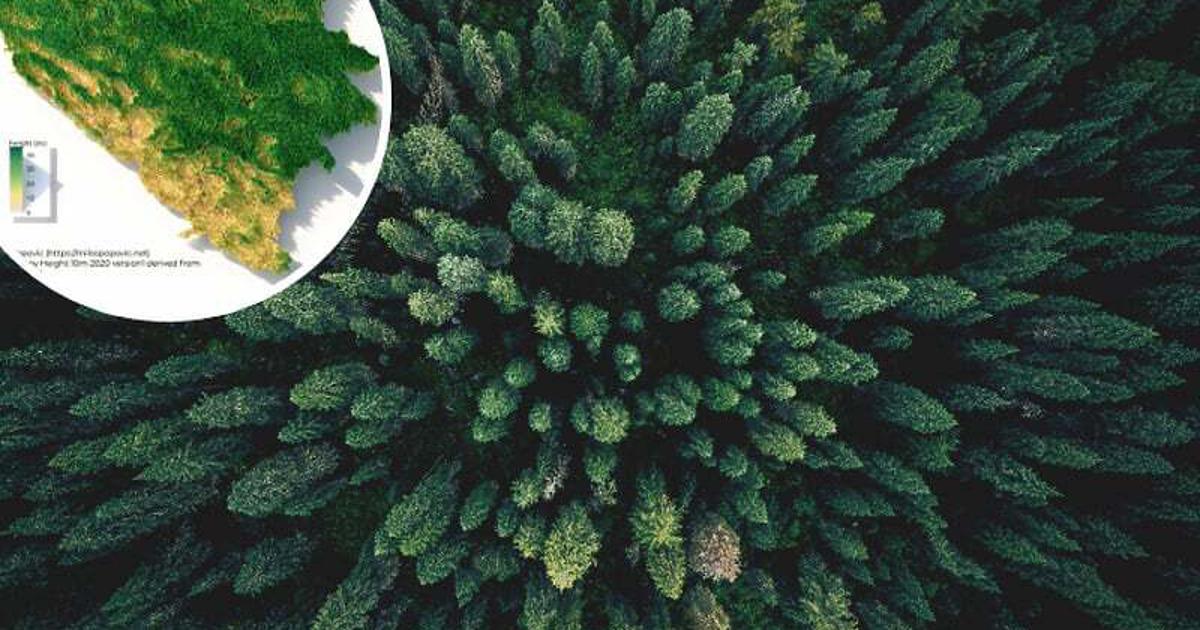 Dr. Miloš Popović kreirao 3D mapu BiH prema visini i gustoći šuma - www ...