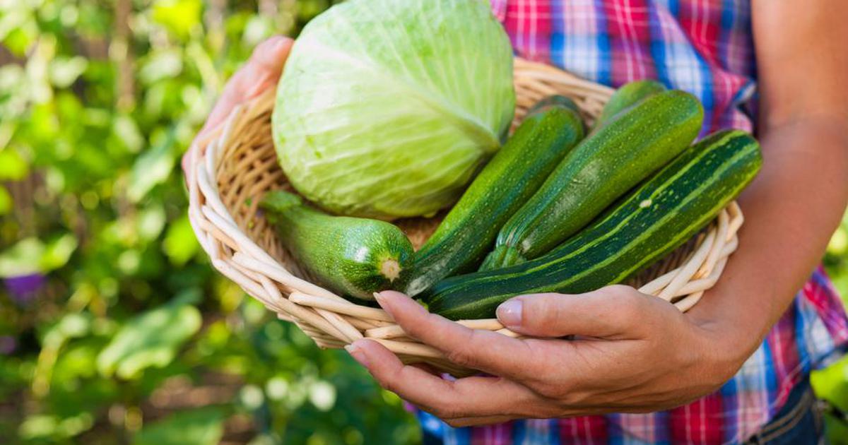 Rajčica čuva kožu, riba srce, a smokva kosti - www.vecernji.ba