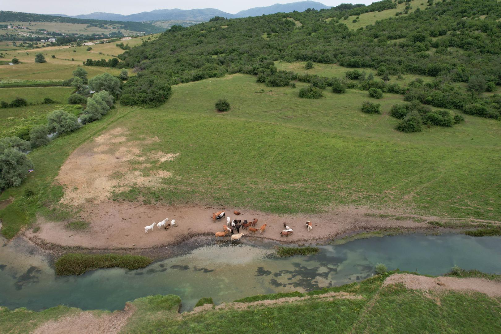 Galerija: Čarobni svijet rijeke Sturbe u livanjskom kraju u kojemu, uz ...