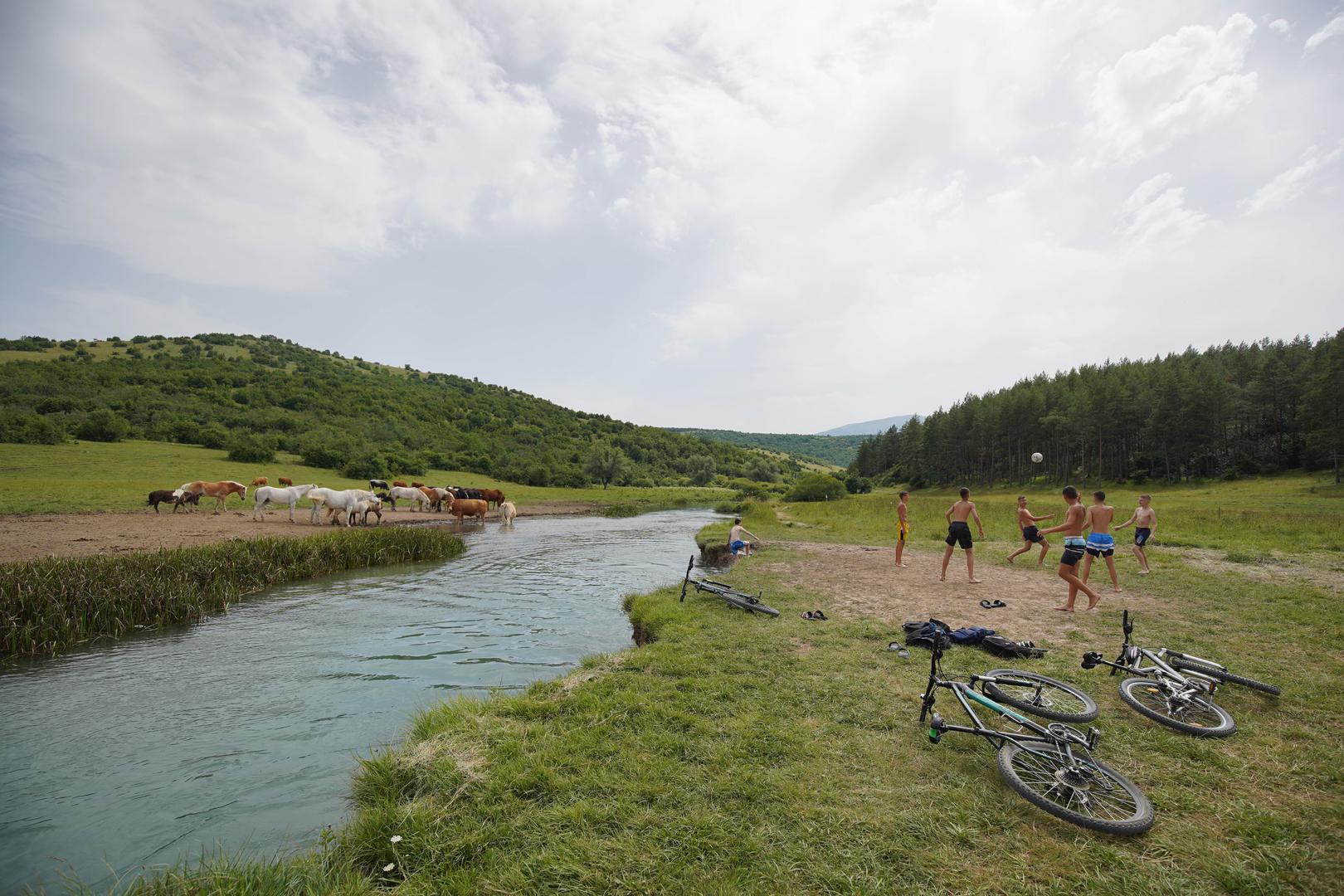 Čarobni svijet rijeke Sturbe u livanjskom kraju u kojemu, uz bogat ...