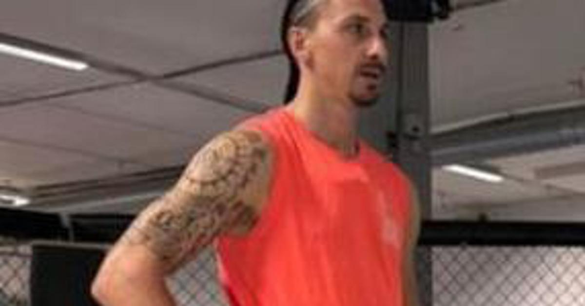 Ibrahimović trenirao sa MMA borcem pa poslao zanimljivu poruku - www ... Ibrahimović trenirao sa MMA borcem pa poslao zanimljivu poruku - www ...