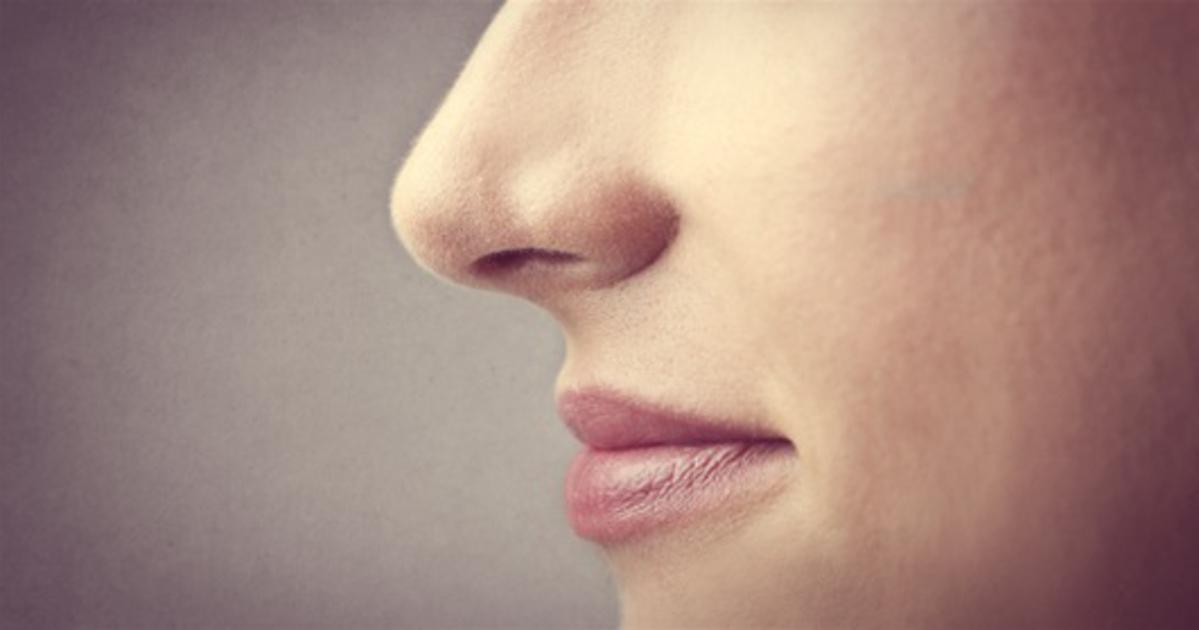 Moj nos, moj ponos: Što oblik nosa govori o vašem karakteru - www ...