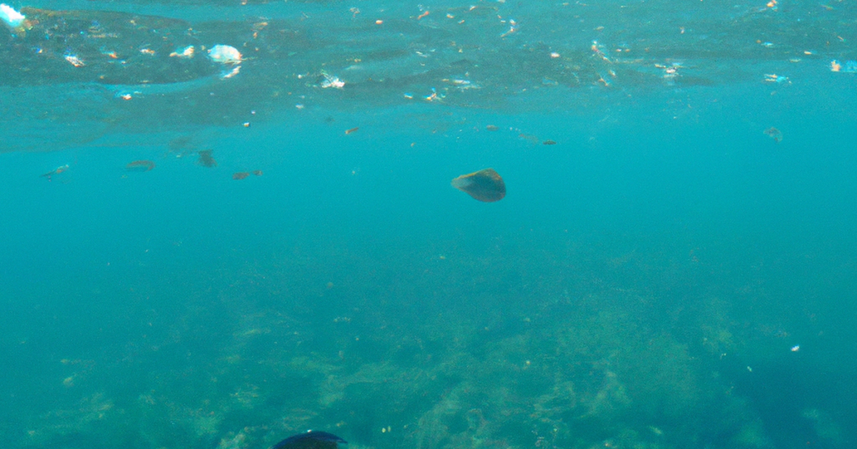 Sredozemno more dostiglo najvišu površinsku temperaturu - www.vecernji.ba