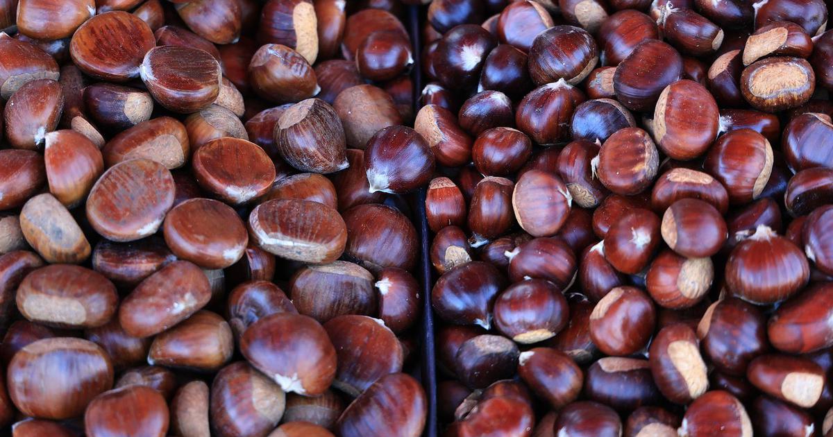 Pečeni kesteni će biti mekani i jednostavni za guljenje uz samo jedan ...